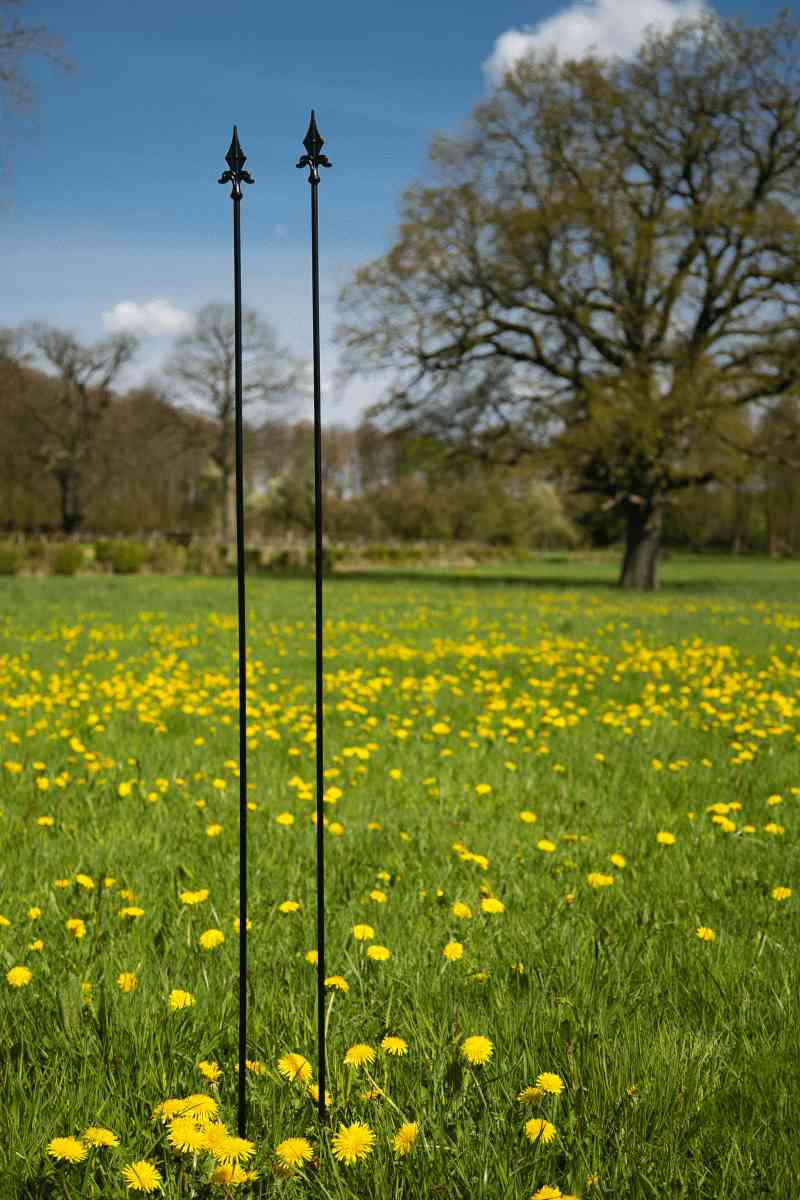 2er Set Rankstab 170cm mit Lilie schwarz