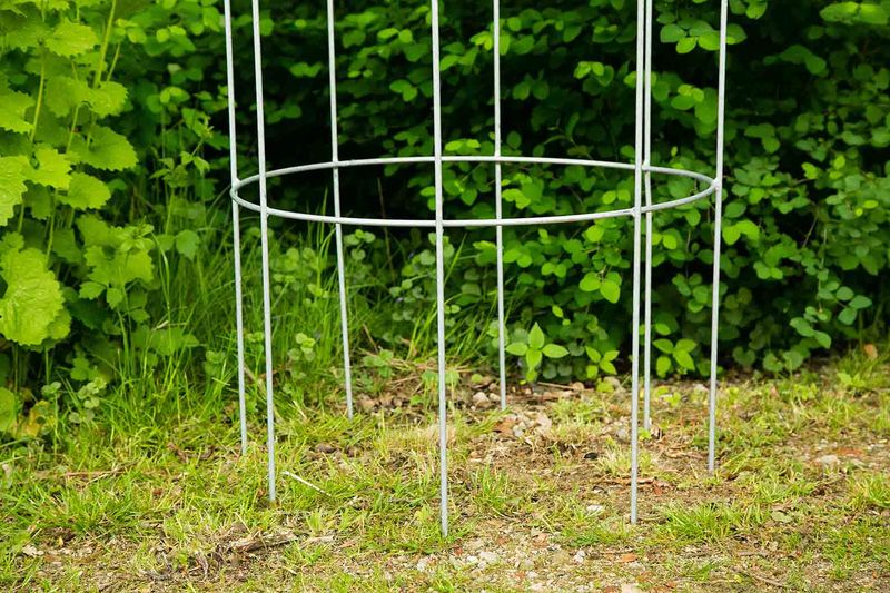 Rankhilfe Jumbo 300cm Ø: 60cm, Verzinkt