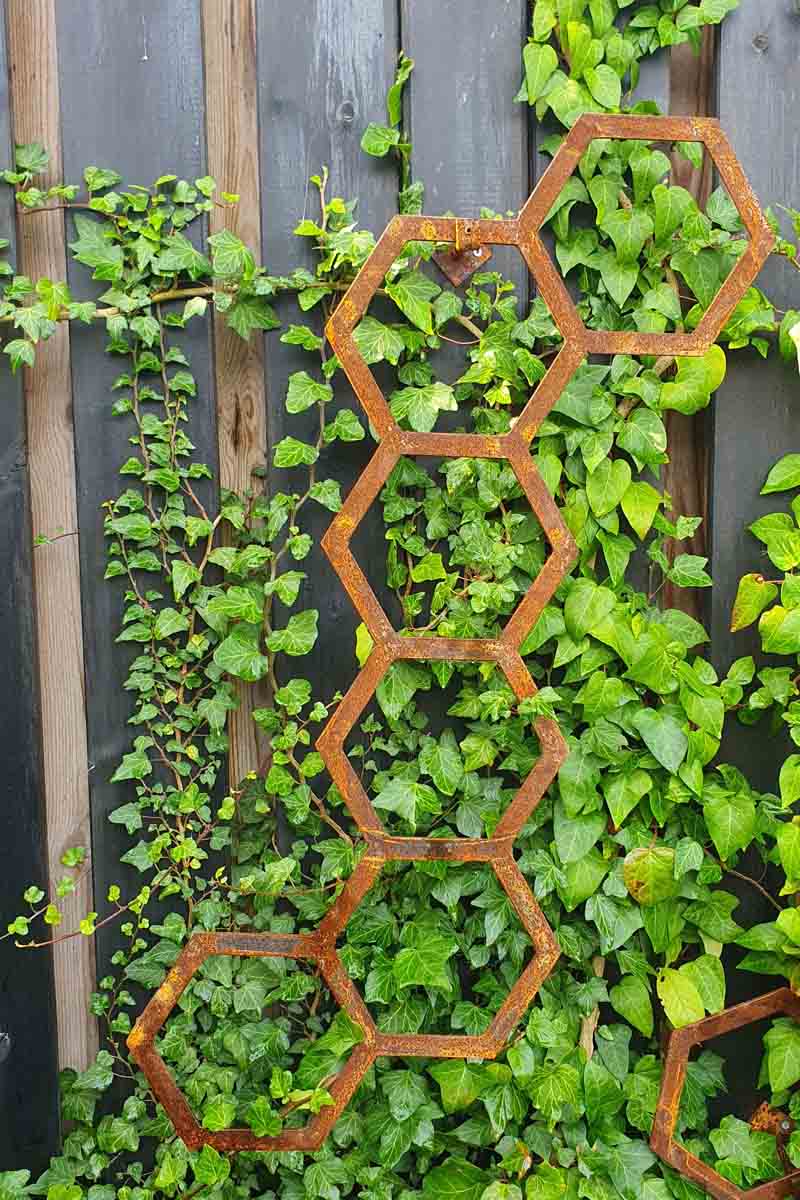 Rankgitter Metall SENFINO , Rost, 100cm
