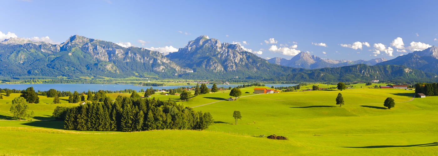 Sole Runner Barfußschuhe | Sole Runner Barfußschuhe