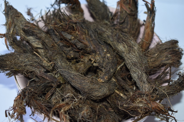 Musk root | plentyShop LTS