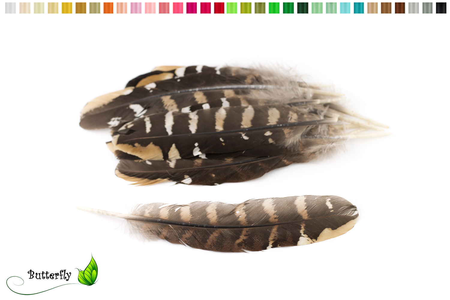 10 Fasanenflügelfedern ca. 10-14cm | Kreativmarkt Butterfly