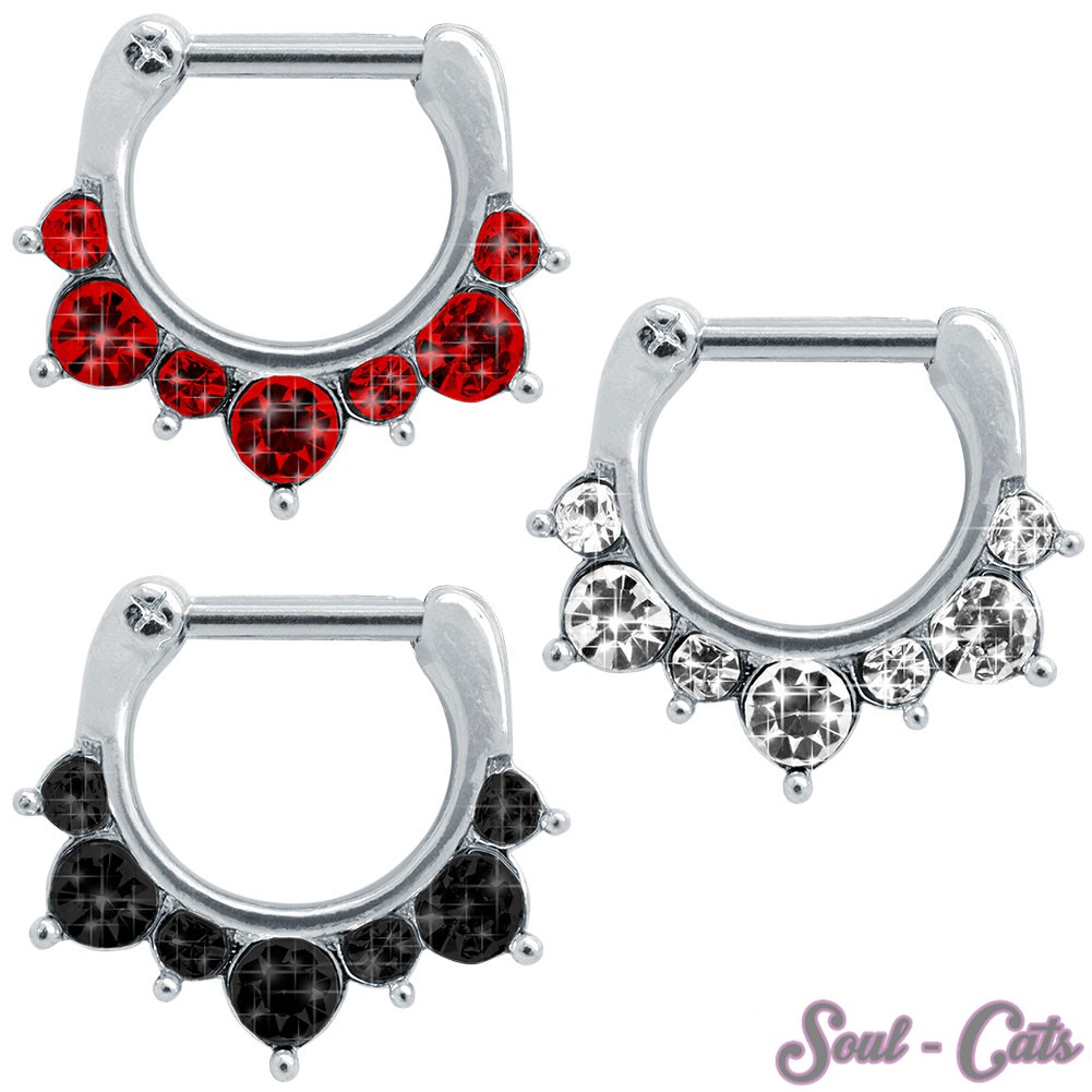 Piercing Septum Nasenring Nasenpiercing Brustwarzenpiercing Clicker ...