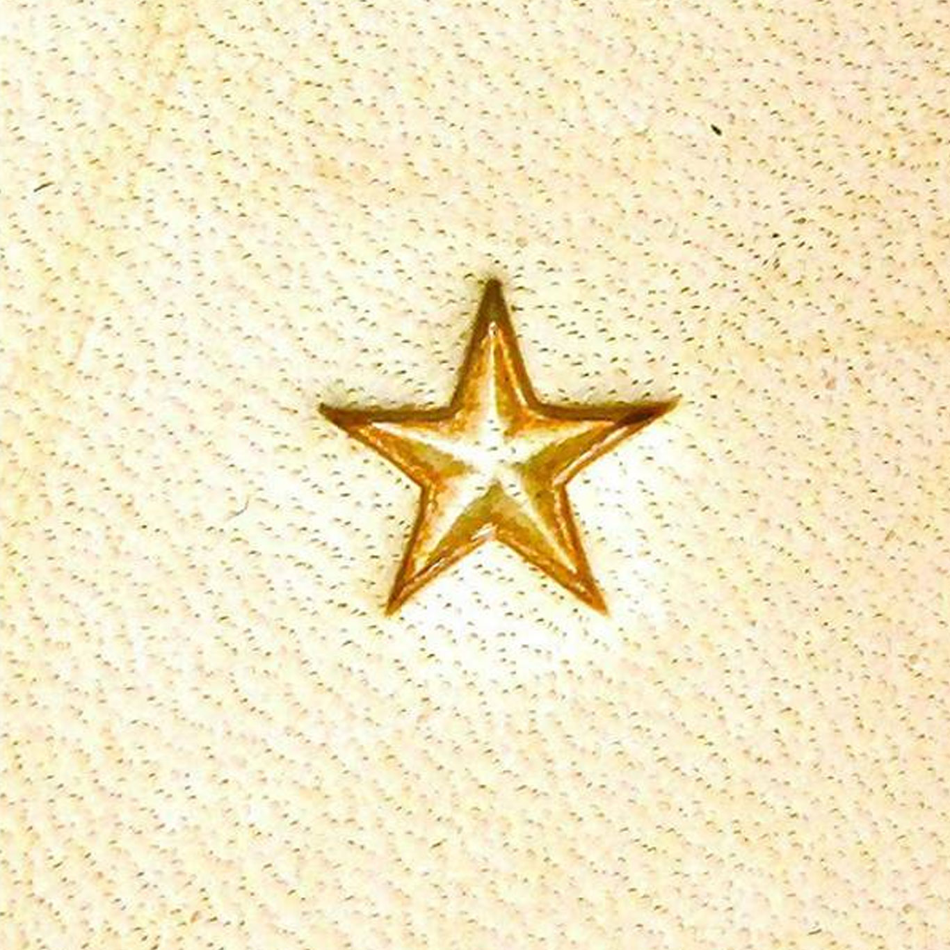 Craft Sha Leathercraft Stamp Punch 7mmx7mm Z609 Large Textured Star ...