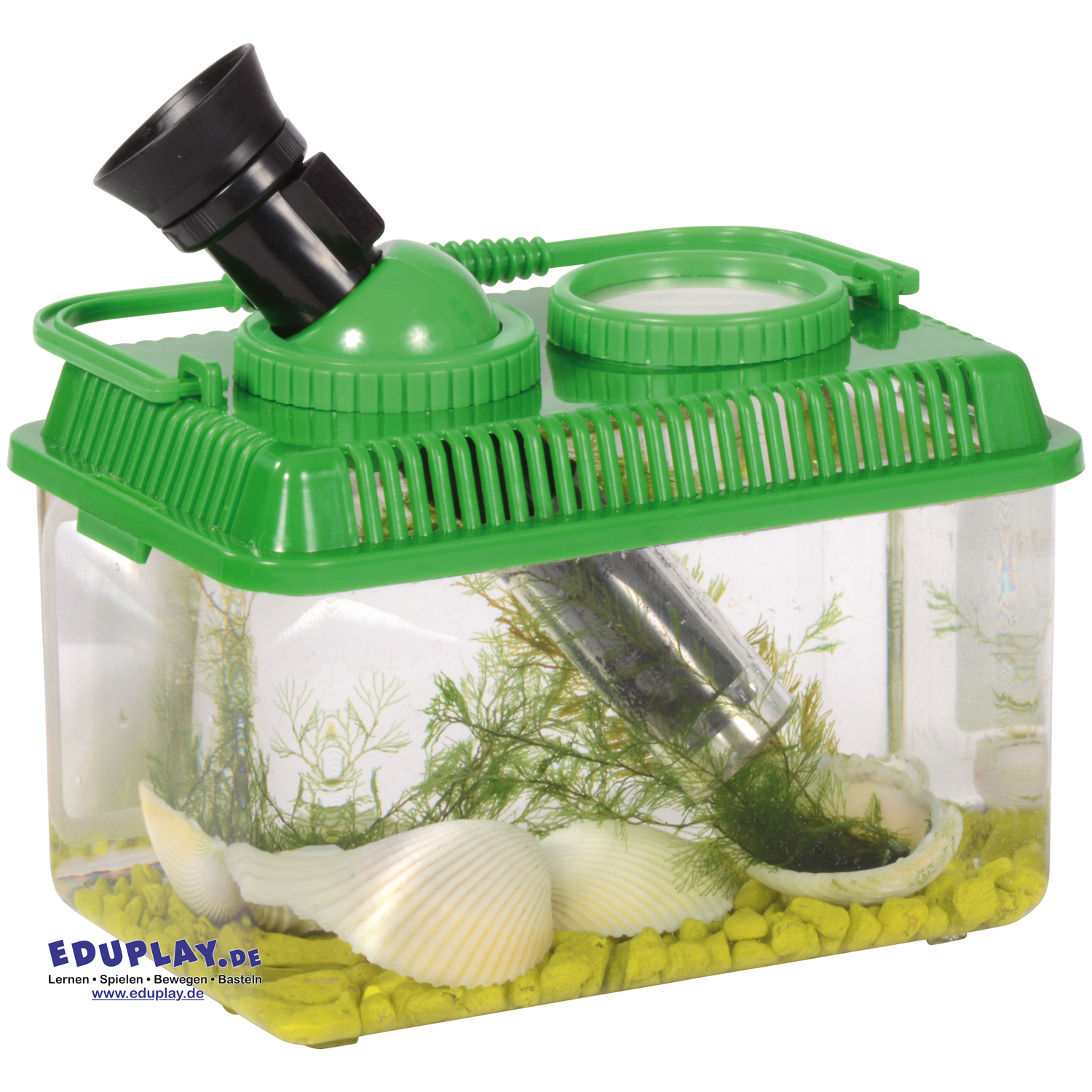 EDUPLAY 150122 Explorer Box, 16 x 9,5 x 10,5 cm, klar/grün/schwarz ...