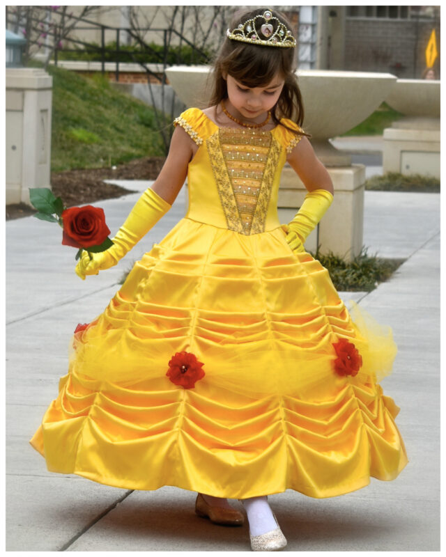 Princess Dress | plentyShop LTS