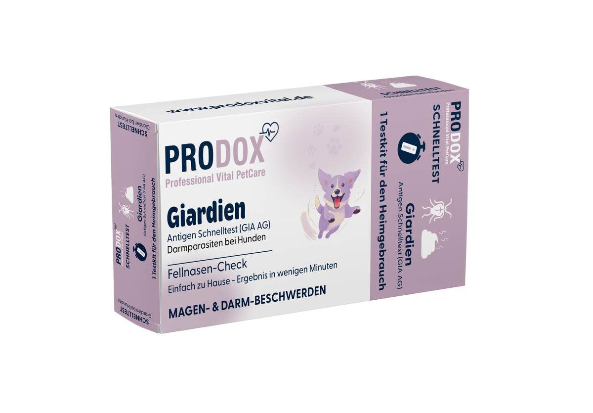 Prodox Schnelltest - Giardien - Antigen Schnelltest (GIA AG ...