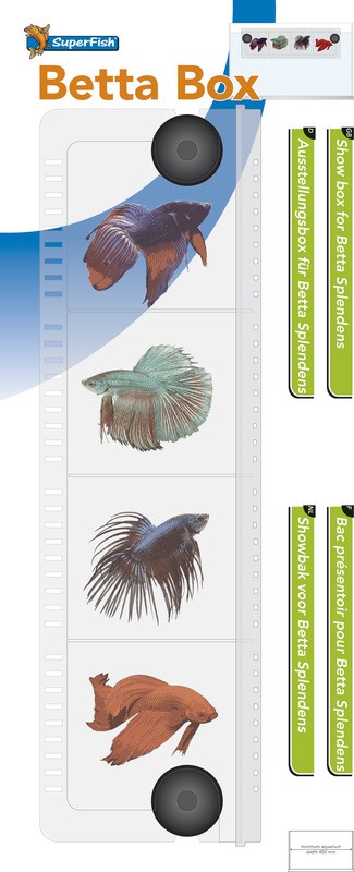 SuperFish Betta Box | Aqua Inspiration